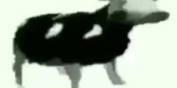 Ice Age Baby (Roshan) meme explained - Memepedia