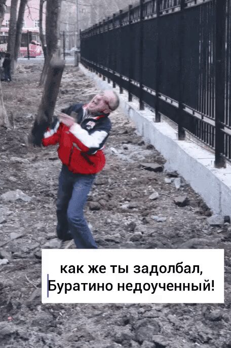 Доцент и студент - Memepedia