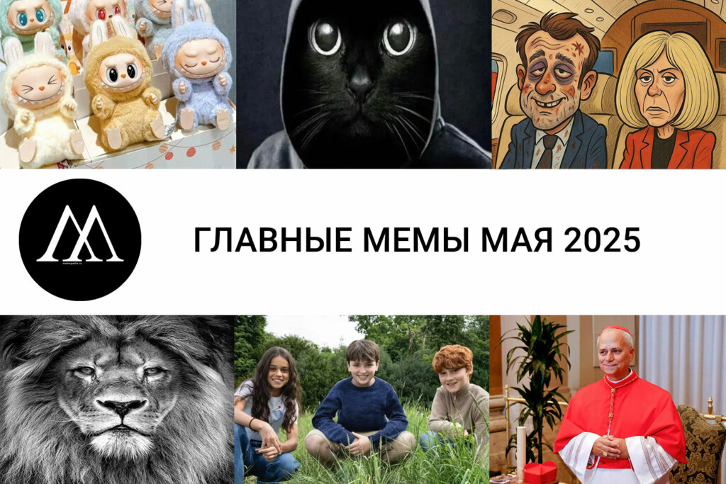 Главные мемы мая 2025: Окак, лев если и сосал, Лабубу - Memepedia