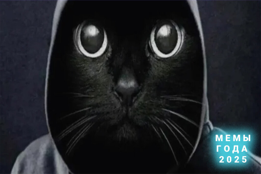 Главные мемы 2025 года: брейнрот, сам решу, Суинни - Memepedia